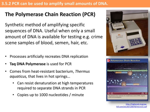 IB Biology 3.5 Slides: Genetic Modification & Biotechnology | PPTX
