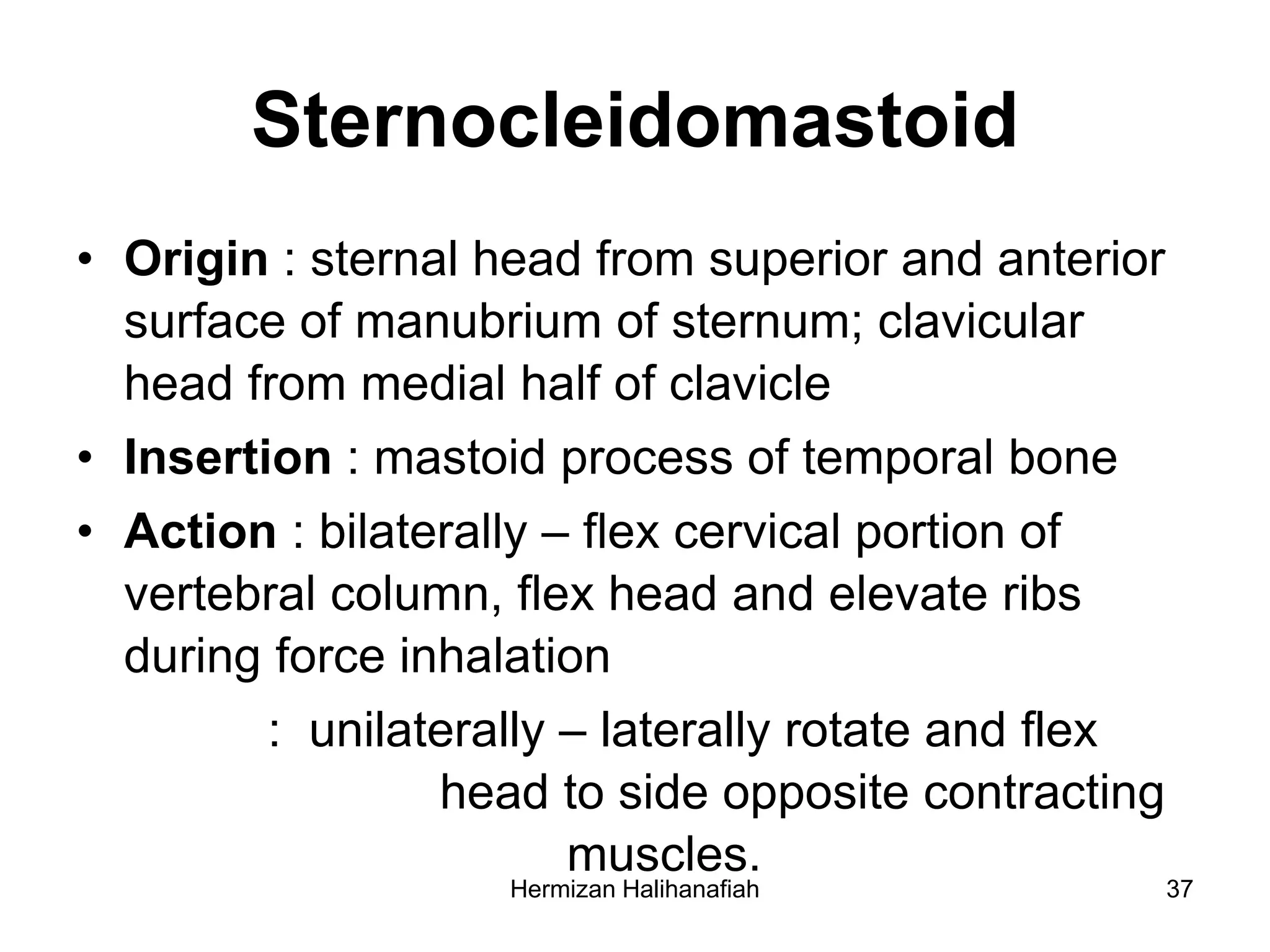 cervical vertebrae anatomy and disorder | PPT