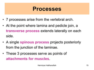cervical vertebrae anatomy and disorder | PPT