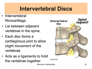 cervical vertebrae anatomy and disorder | PPT