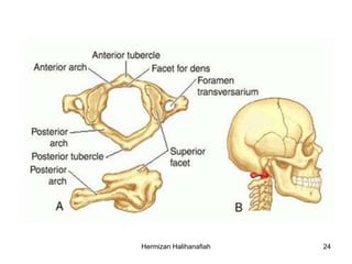 cervical vertebrae anatomy and disorder | PPT