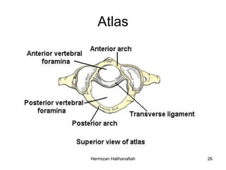 cervical vertebrae anatomy and disorder | PPT