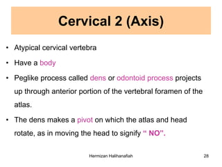 cervical vertebrae anatomy and disorder | PPT
