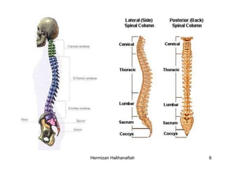 cervical vertebrae anatomy and disorder | PPT