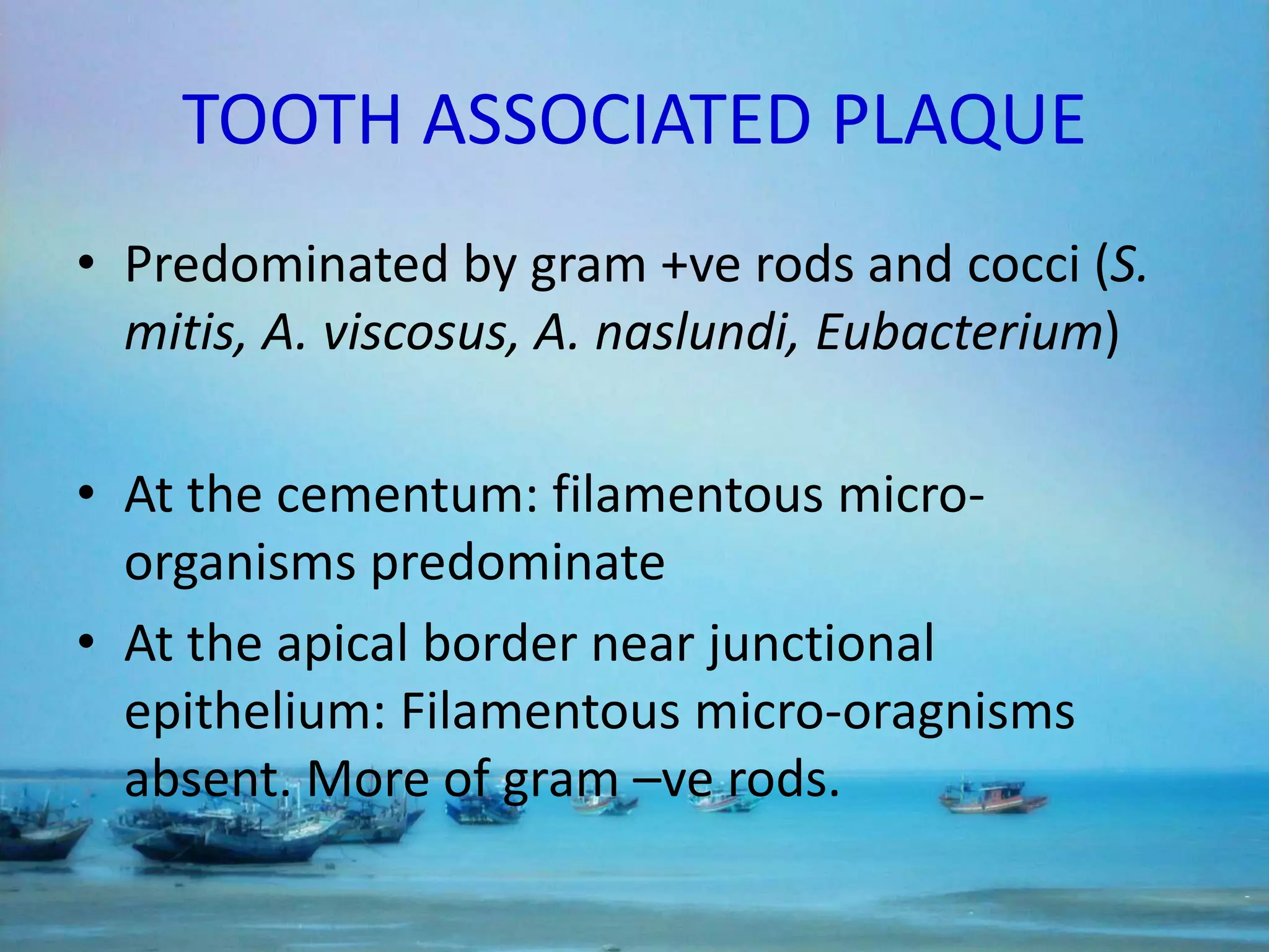 Dental Biofilm | PPTX