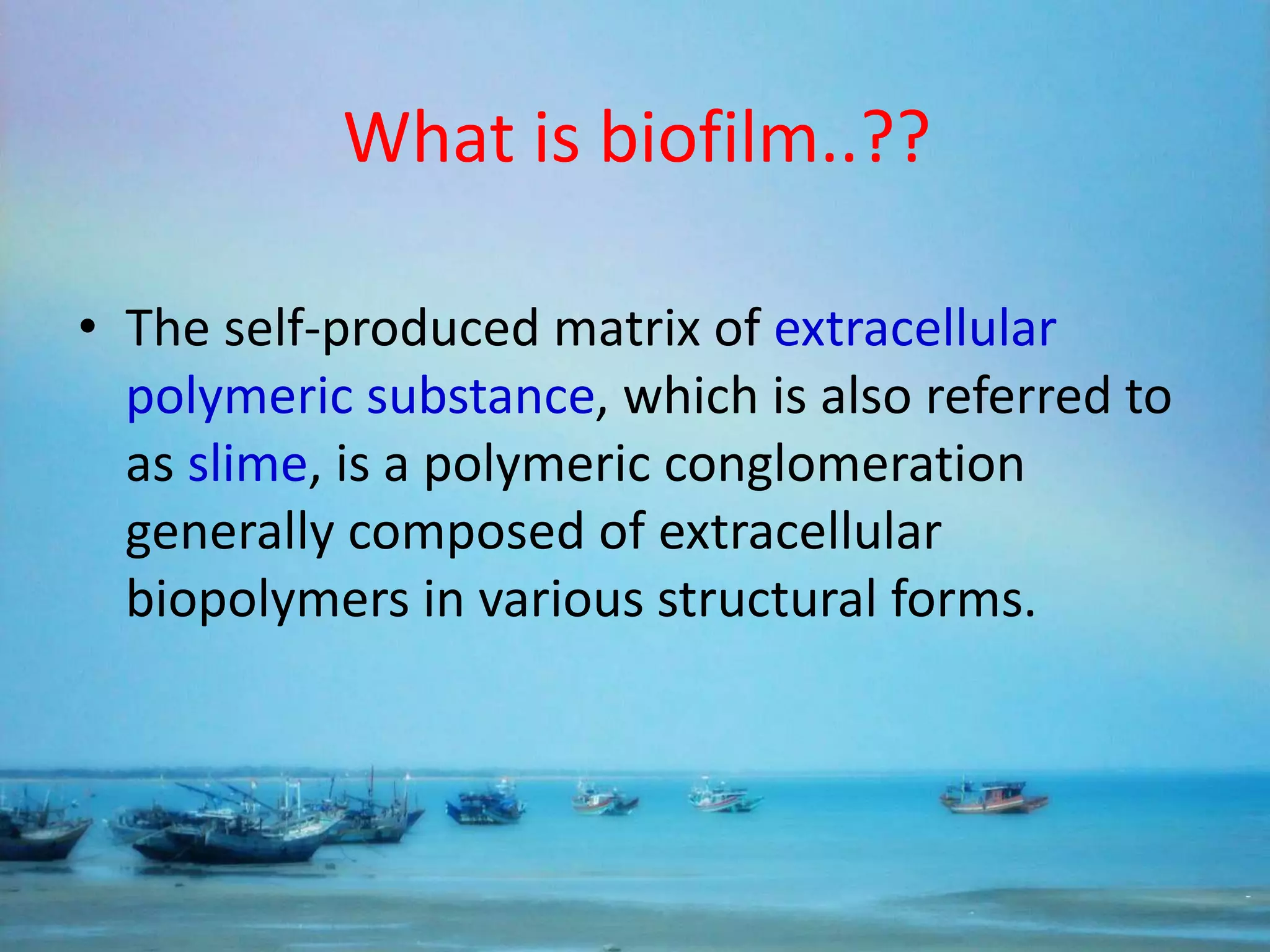 Dental Biofilm | PPTX