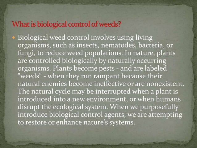 3. Biological control of weeds A Lecture By Allah Dad Khan | PPT