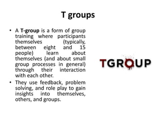 T- group individual OD interventions - Organizational Change and ...