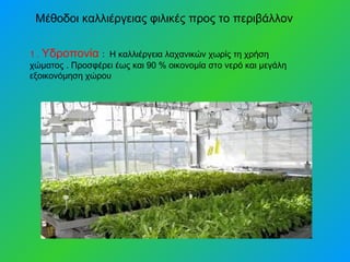 Ο κήπος του σχολείου μας | PPT