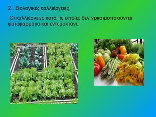 Ο κήπος του σχολείου μας | PPT