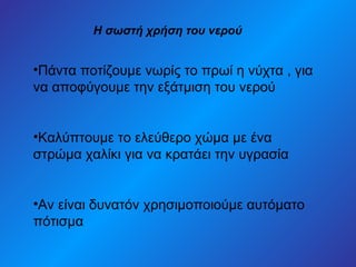 Ο κήπος του σχολείου μας | PPT