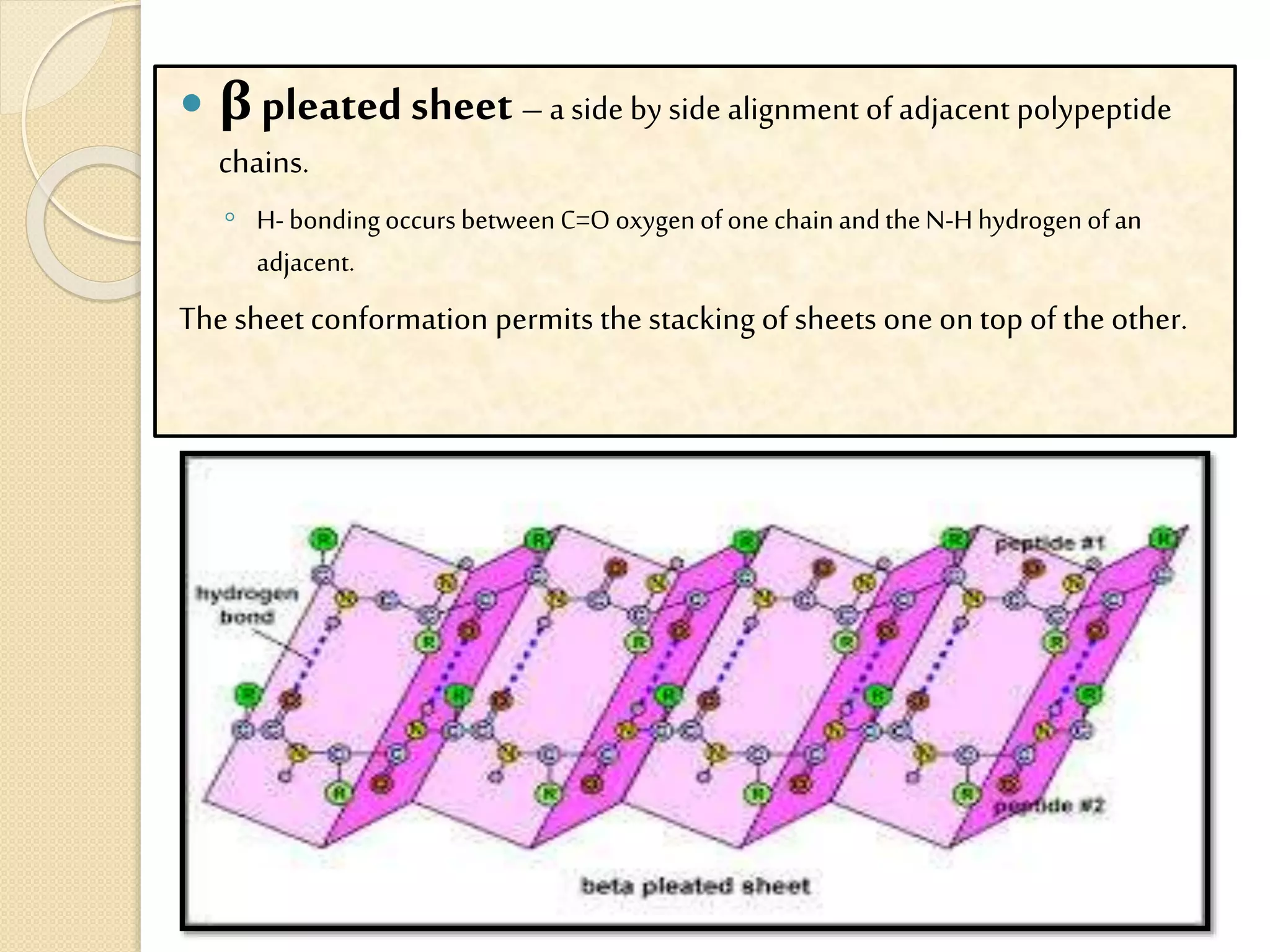 Primary and Secondary Structure of Protein | PPTX
