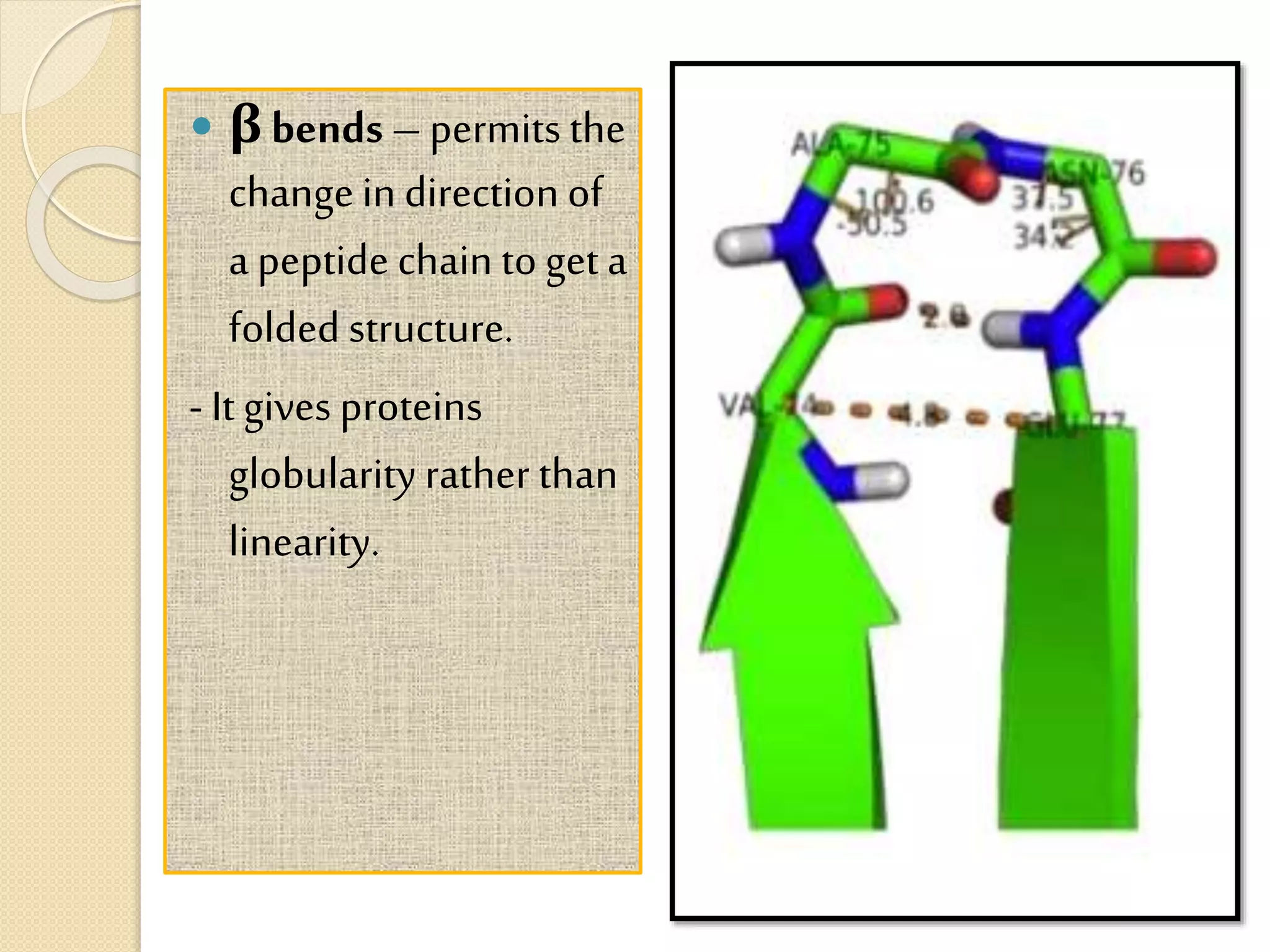 Primary and Secondary Structure of Protein | PPTX