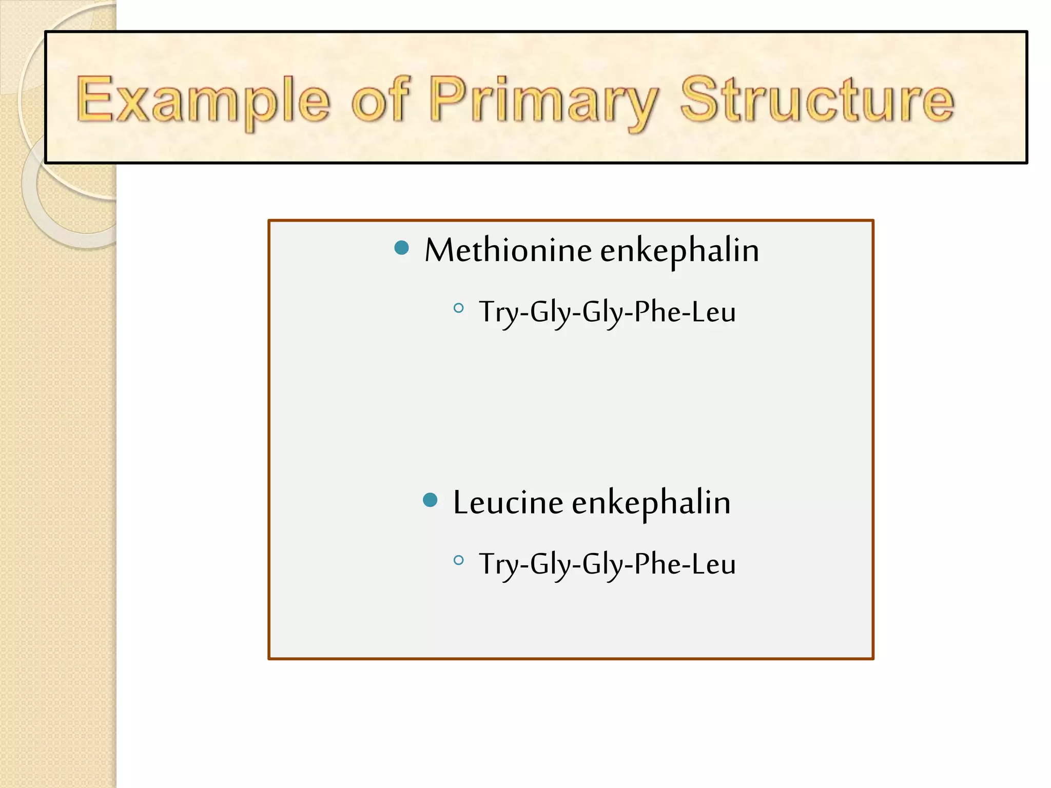 Primary and Secondary Structure of Protein | PPTX