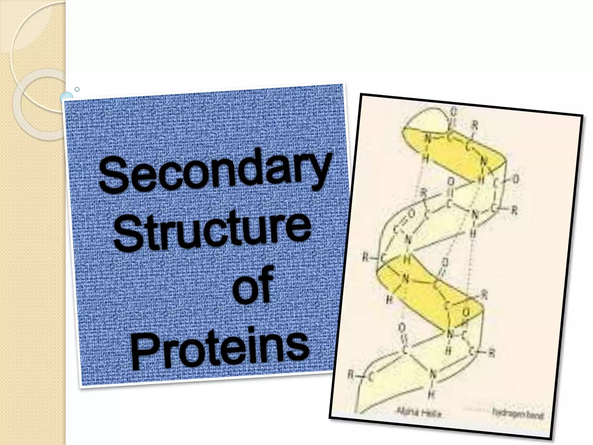 Primary and Secondary Structure of Protein | PPTX