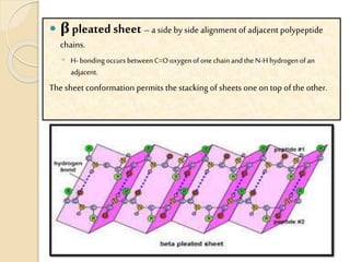 Primary and Secondary Structure of Protein | PPTX