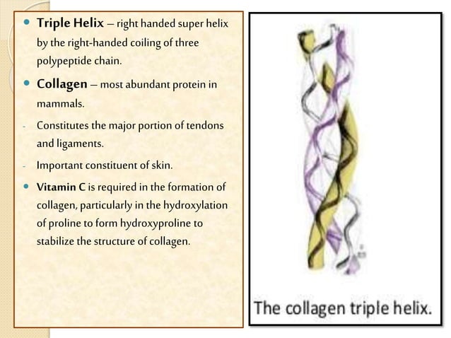 Primary and Secondary Structure of Protein | PPTX