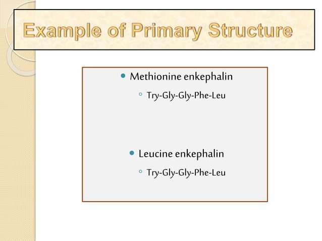 Primary and Secondary Structure of Protein | PPTX