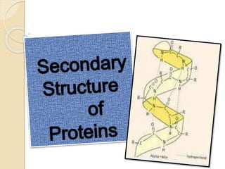 Primary and Secondary Structure of Protein | PPTX