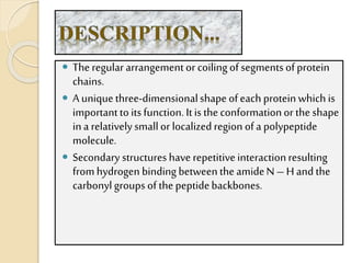 Primary and Secondary Structure of Protein | PPTX