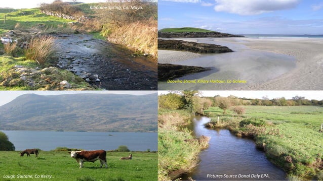 3. Integrated Catchment Management - Conceptual understanding | PDF ...