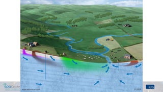 3. Integrated Catchment Management - Conceptual understanding | PDF