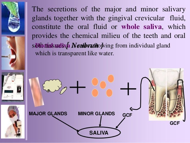 SALIVA