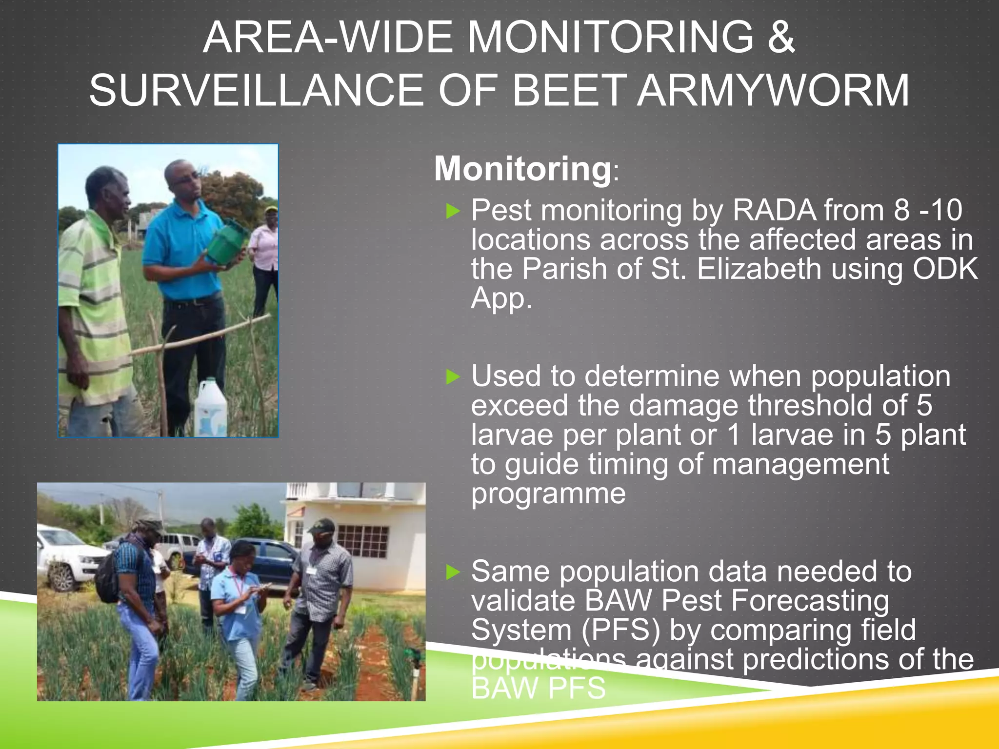 The Beet Armyworm Pest Forecast Model: A Decision-Making Tool for Pest ...