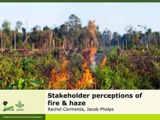 Stakeholder Perceptions of Fire and Haze | PPT