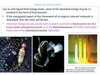 3. causes of color and their mechanism | PPT