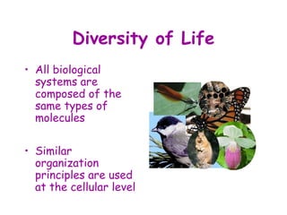 Biological information transfer | PPT