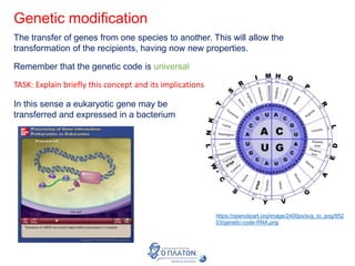 3.5. Genetic modification and cloning | PPTX | Endocrine and Metabolic Diseases | Diseases and ...