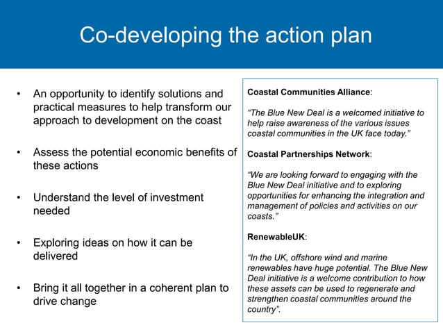 3. Fernanda Balata NEFs Blue New Deal | PPT