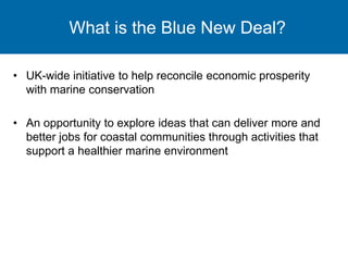 3. Fernanda Balata NEFs Blue New Deal | PPT