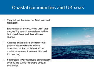 3. Fernanda Balata NEFs Blue New Deal | PPT