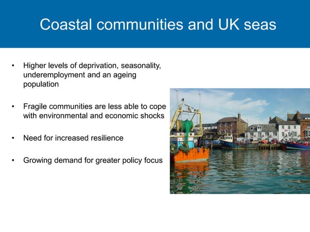 3. Fernanda Balata NEFs Blue New Deal | PPT