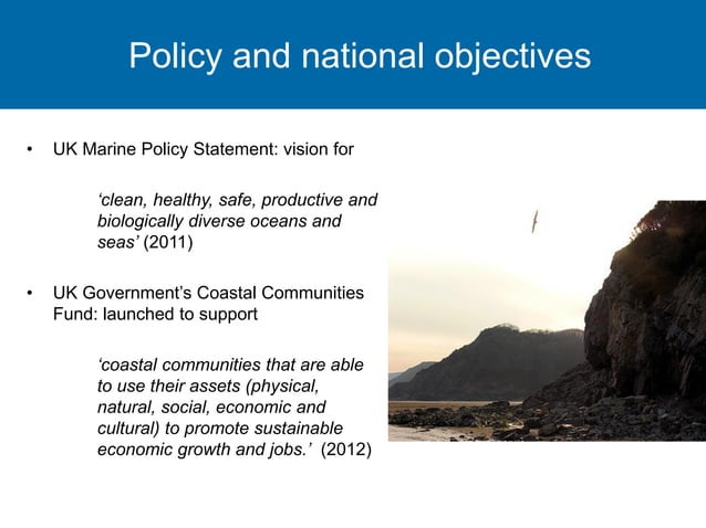 3. Fernanda Balata NEFs Blue New Deal | PPT