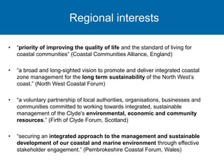 3. Fernanda Balata NEFs Blue New Deal | PPT