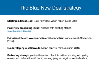 3. Fernanda Balata NEFs Blue New Deal | PPT