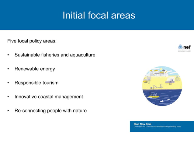 3. Fernanda Balata NEFs Blue New Deal | PPT