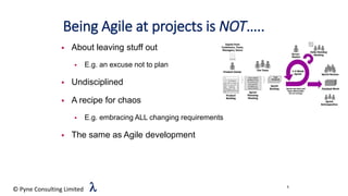 3. Adrian Pyne - good agile governance (including case studies ...