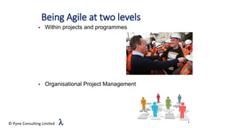 3. Adrian Pyne - good agile governance (including case studies ...