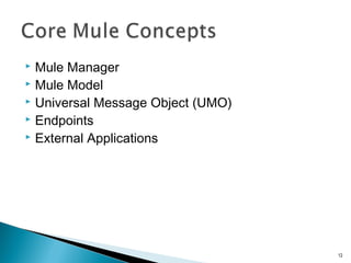 Mule overview | PPT