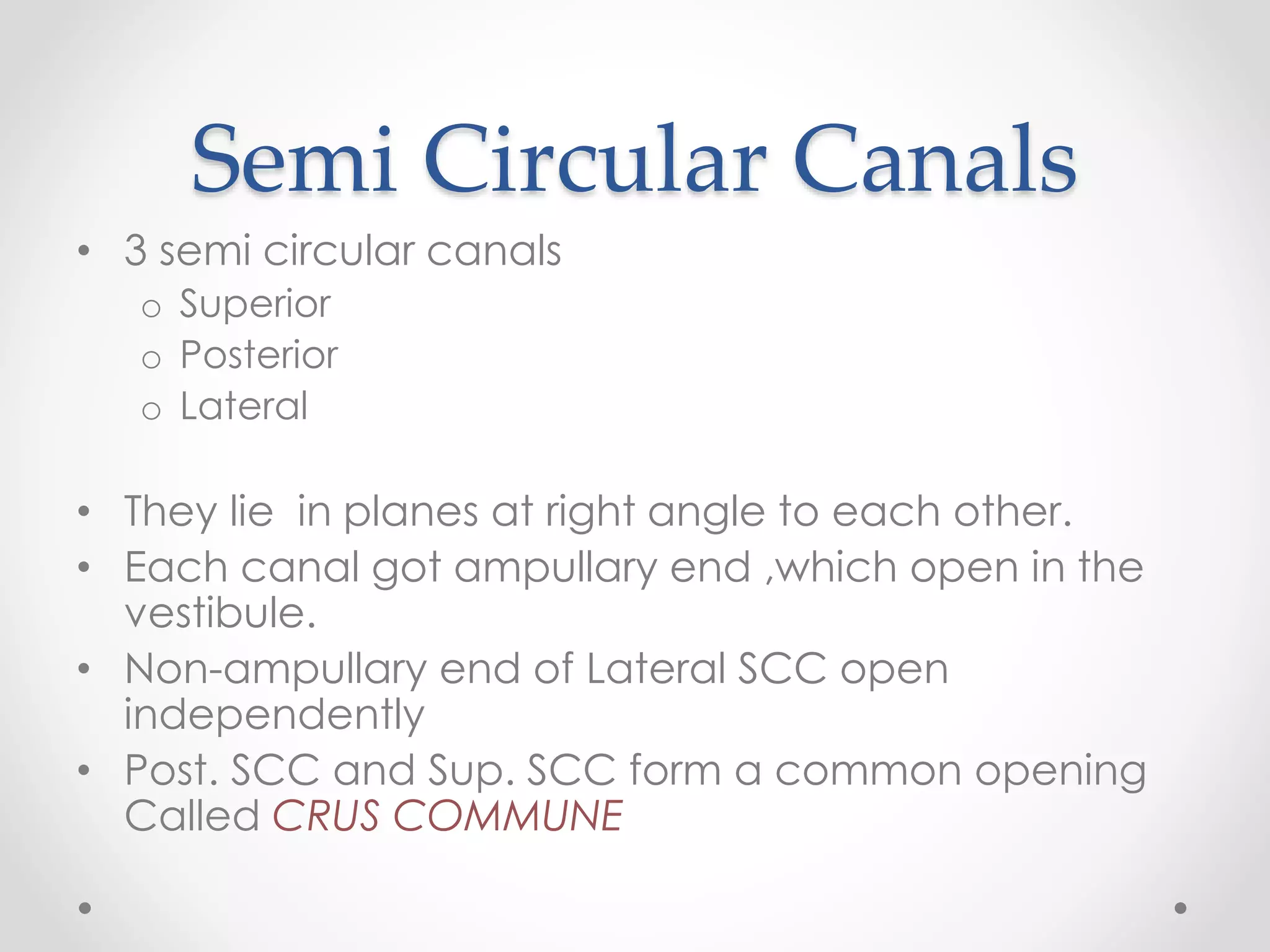 Anatomy of inner ear | PPTX