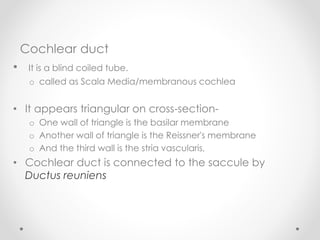 Anatomy of inner ear | PPTX