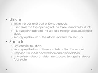 Anatomy of inner ear | PPTX