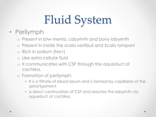 Anatomy of inner ear | PPTX