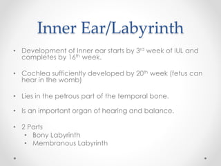 Anatomy of inner ear | PPTX