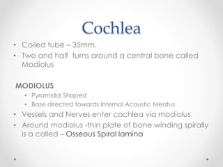 Anatomy of inner ear | PPTX