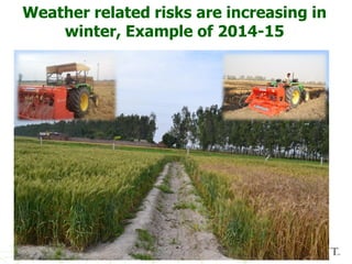 Climate Smart Villages in India | PDF